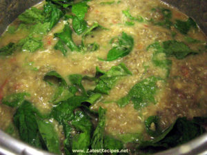 Vegan Mung Beans Soup (Mongo Guisado w/o meat)