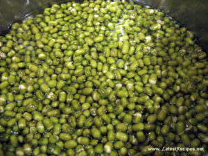 Vegan Mung Beans Soup (Mongo Guisado w/o meat)