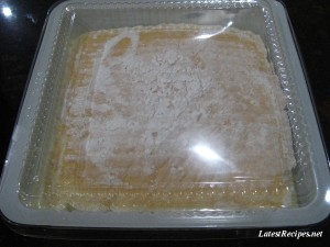 Frozen Brazo de Mercedes