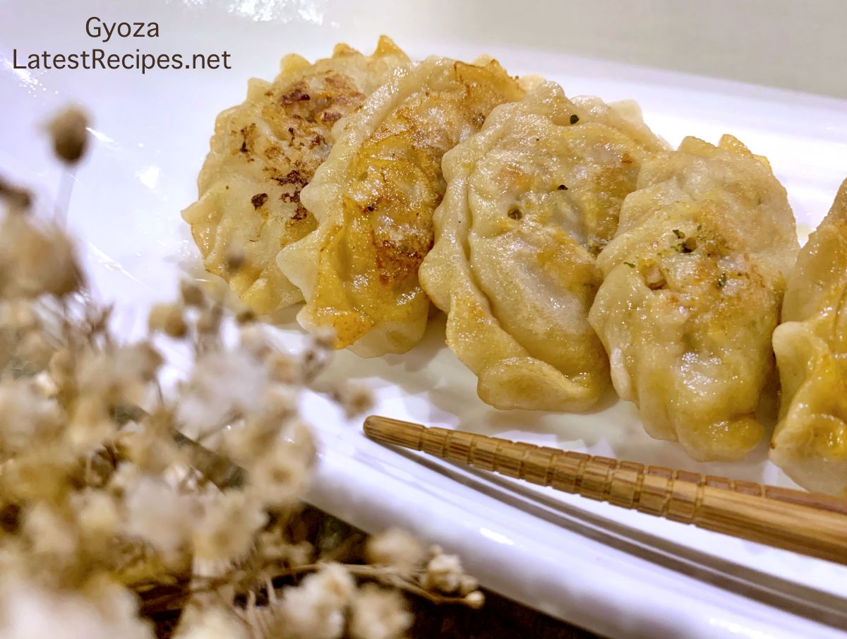 Gyoza - Latest Recipes