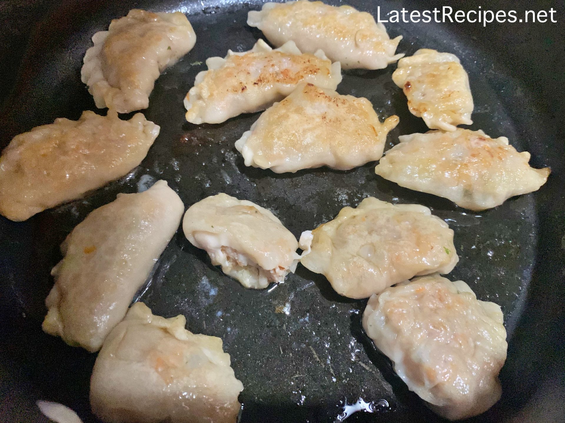 Gyoza - Latest Recipes
