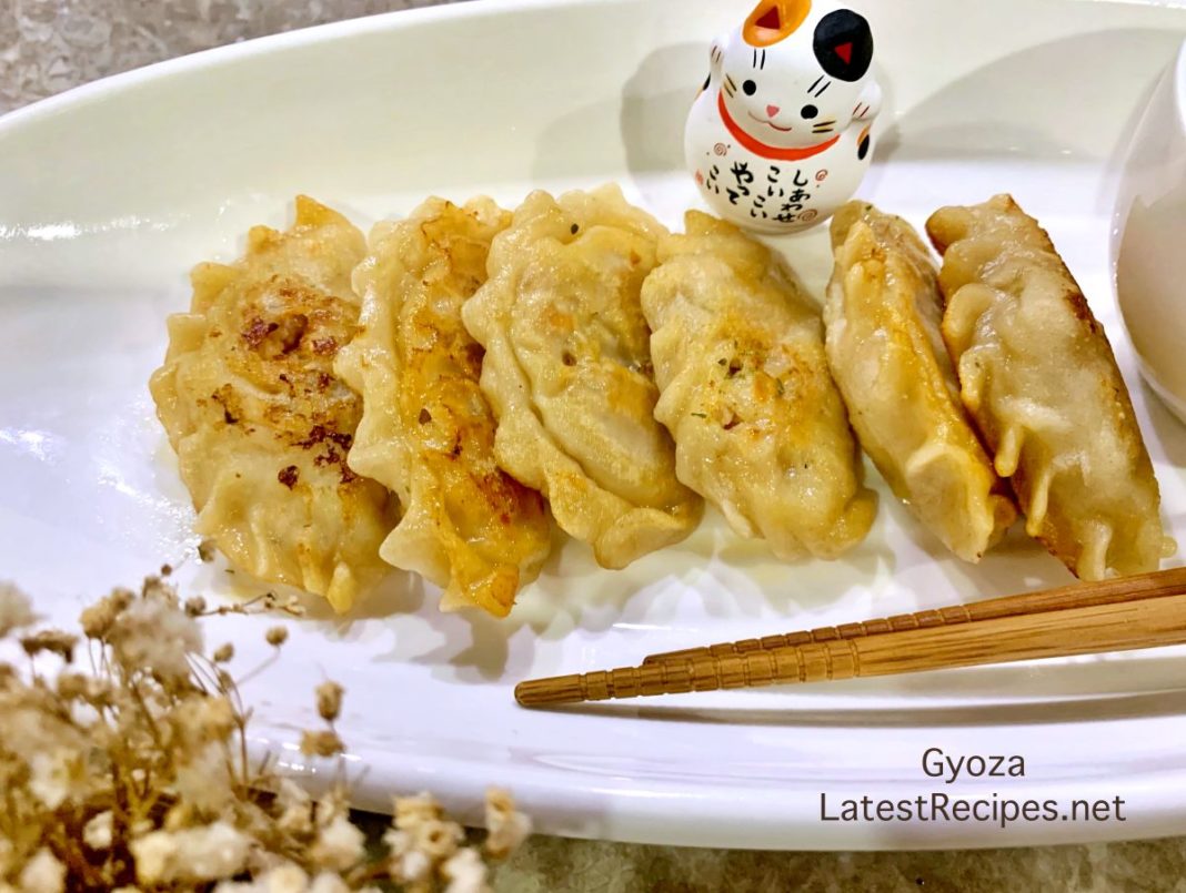 Gyoza - Latest Recipes